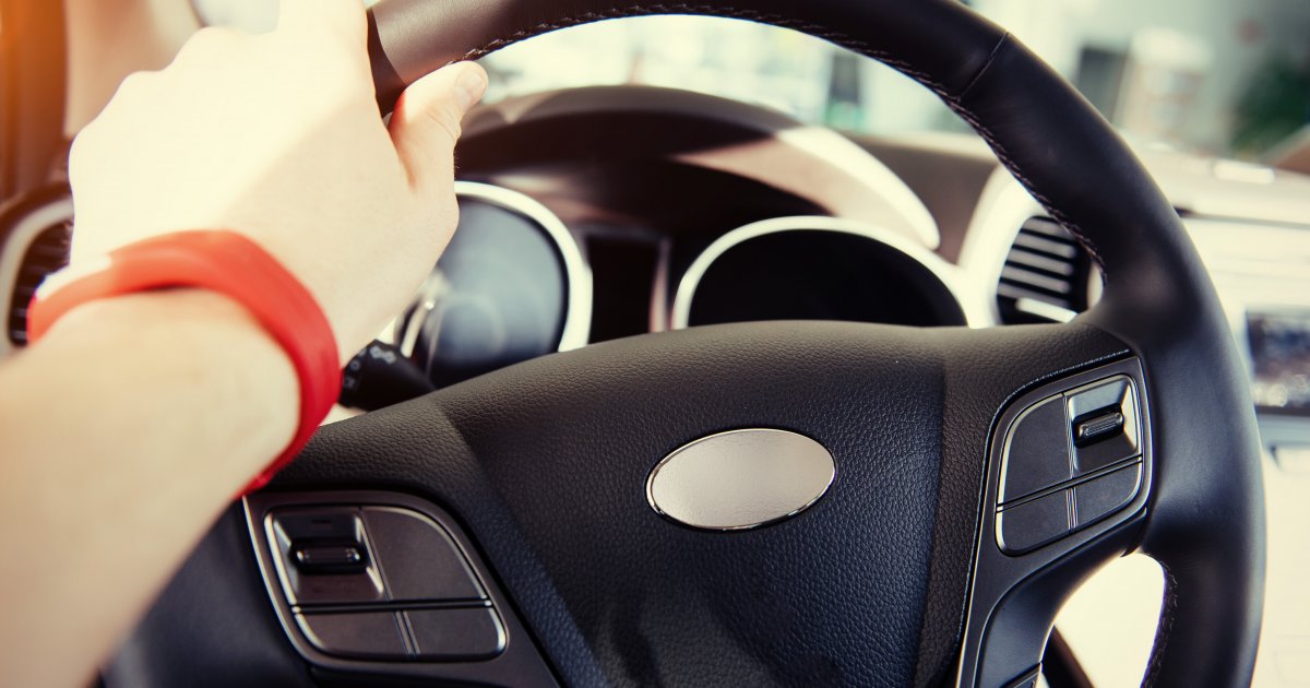 Fleischlos boomt - Veganer Autotrend nimmt zu